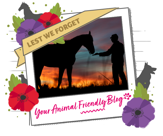 What does a Purple Poppy mean and where can I buy one? | Animal Friends