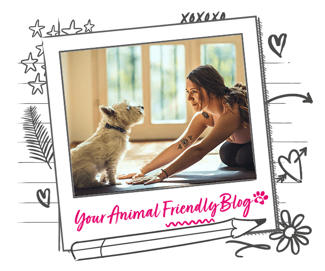 An Introduction to Doga | Animal Friends