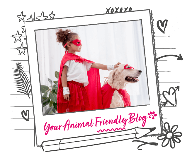 Superhero Pet Names Animal Friends superhero-pet-names-animal-friends