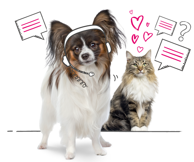 Help and Support | Animal Friends