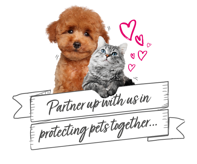 Partner up with us | Animal Friends