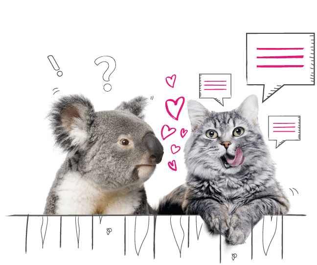 Animal Welfare blog | Animal Friends