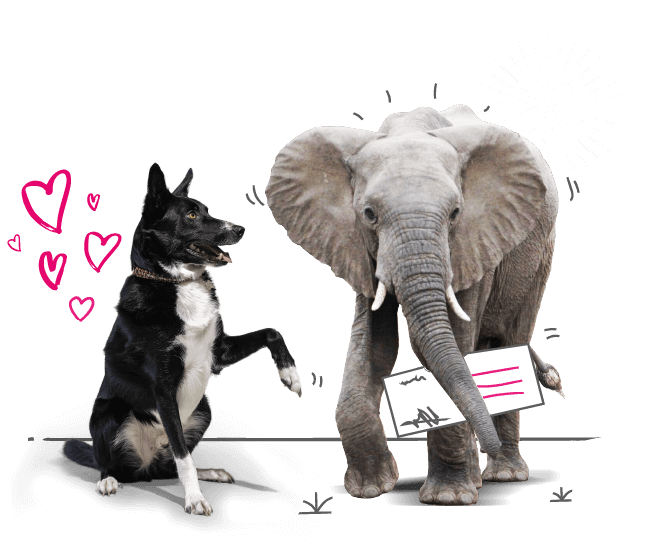 Help Us Help Animals | Animal Friends